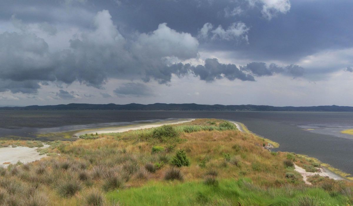 Bird Watching In The Divjaka-Karavasta National Park | Nomatto