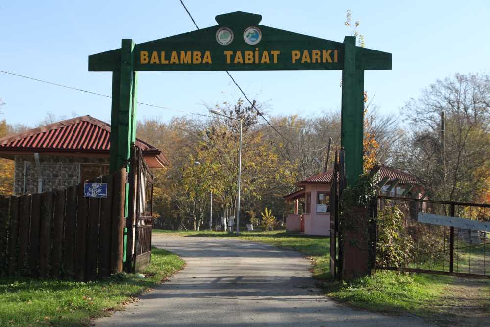 Balamba Tabiat Parkı Bartın | Nomatto