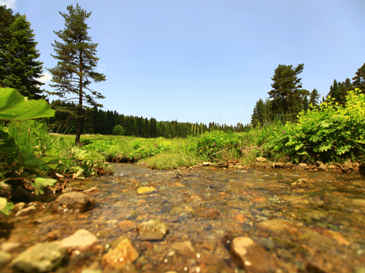 The Ardiç Plateau | Nomatto