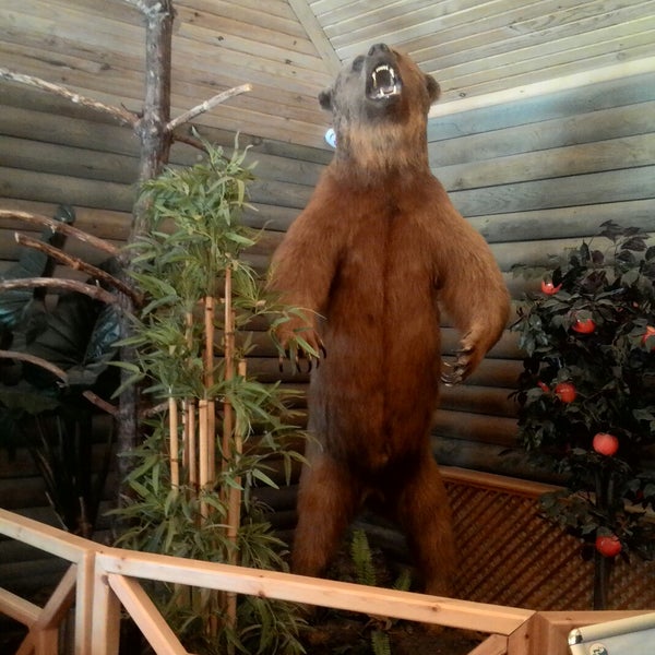 Abant Tabiat Müzesi | Nomatto