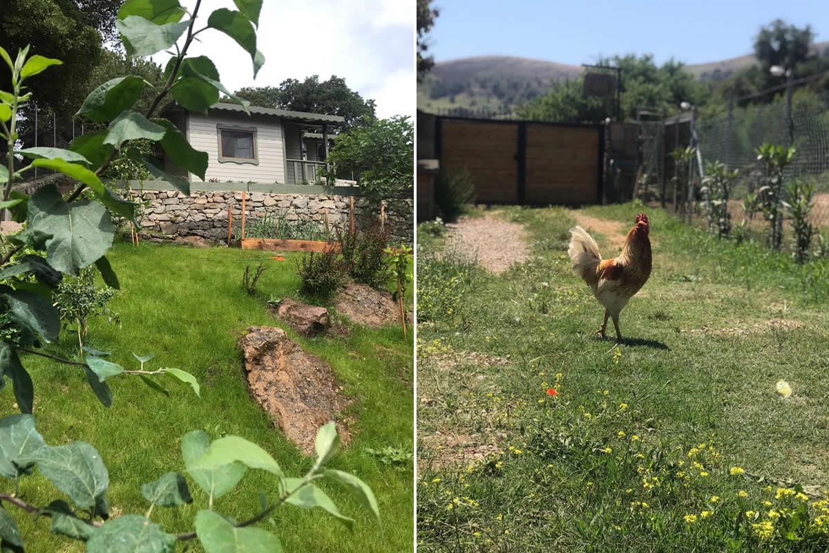 Soykan Çiftliği | Nomatto