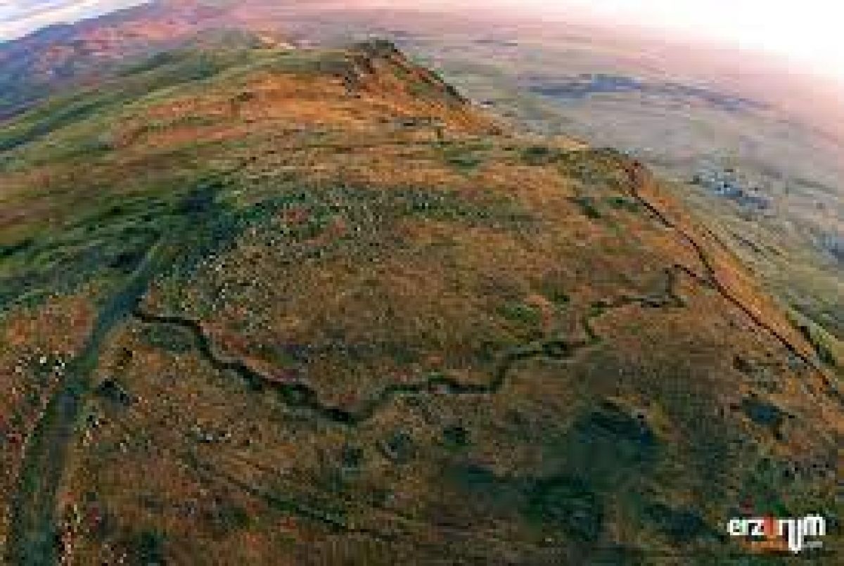 Habit In The Shepherd | Nomatto