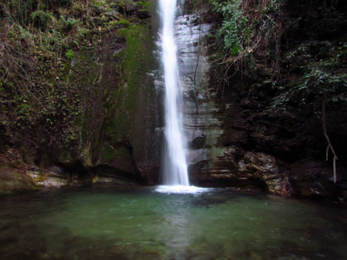 The Waterfall With The Gate Mill | Nomatto