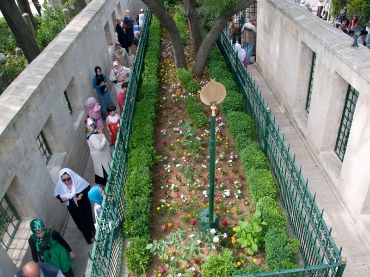 The Top Of Yusha. | Nomatto