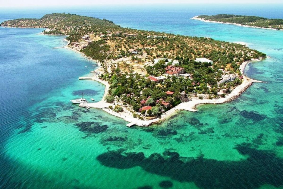 Pen Island . | Nomatto