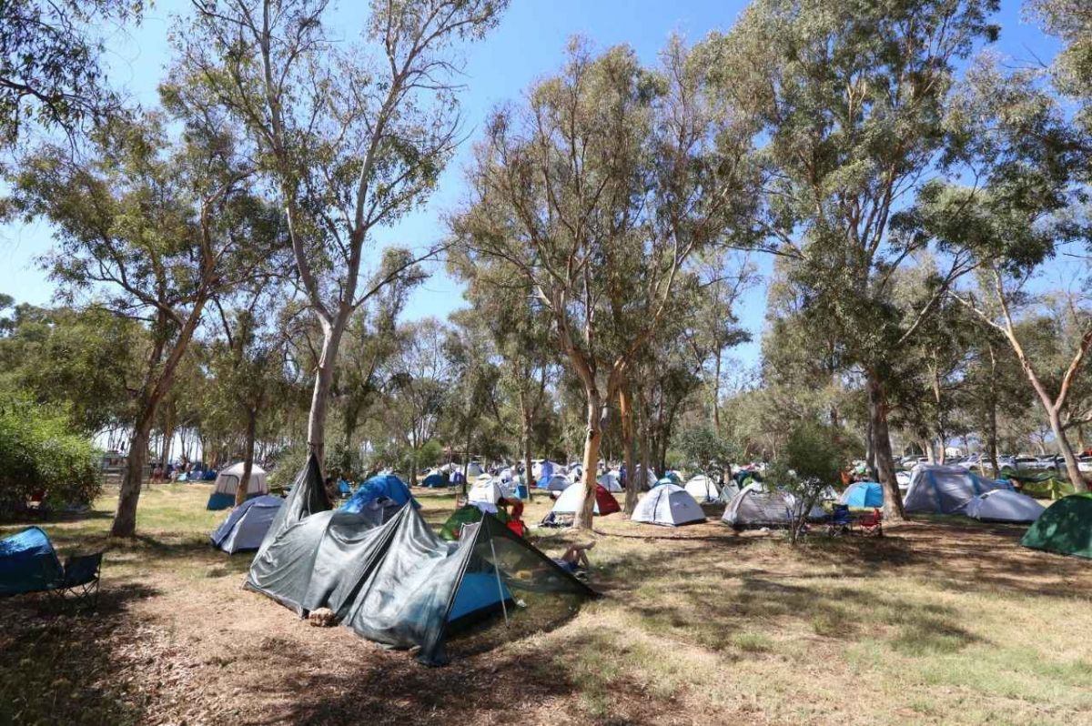 Pamucak Camping | Nomatto