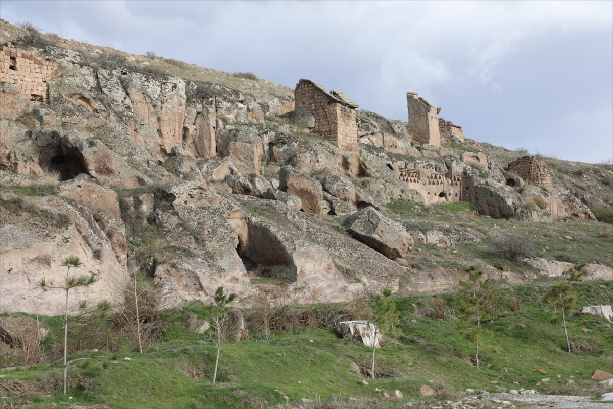 The Gezi Gardens And The Pigeons | Nomatto