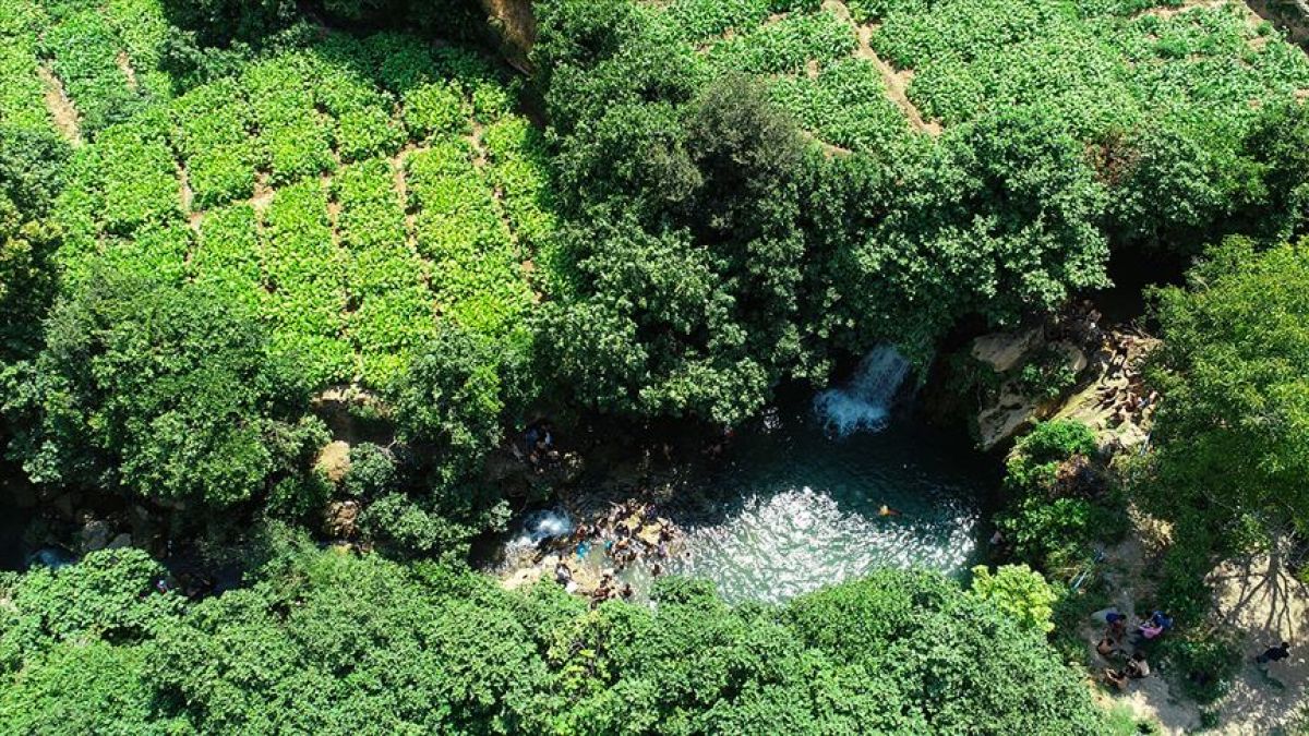 The Gurs Valley | Nomatto