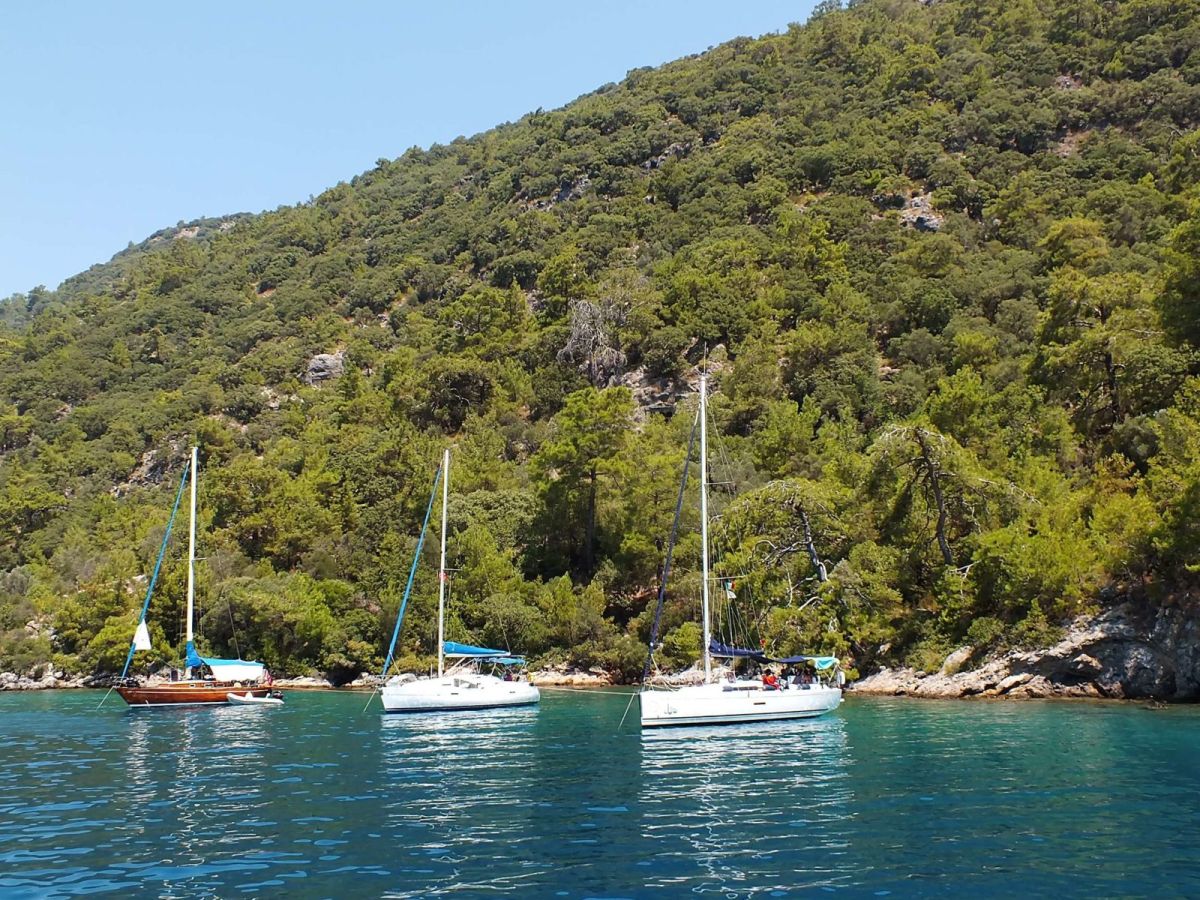 Bedri Rahmi Bay | Nomatto