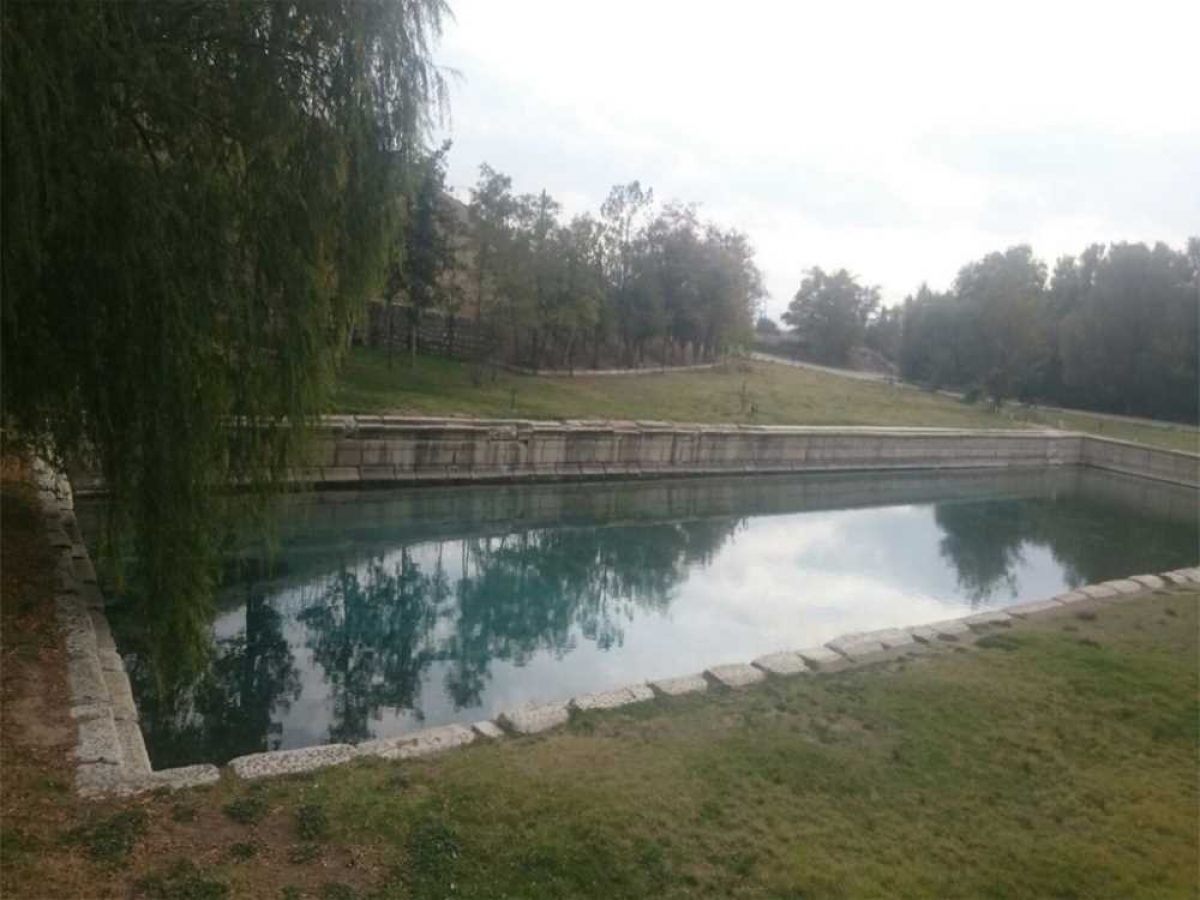 The Pool Of Rome. | Nomatto