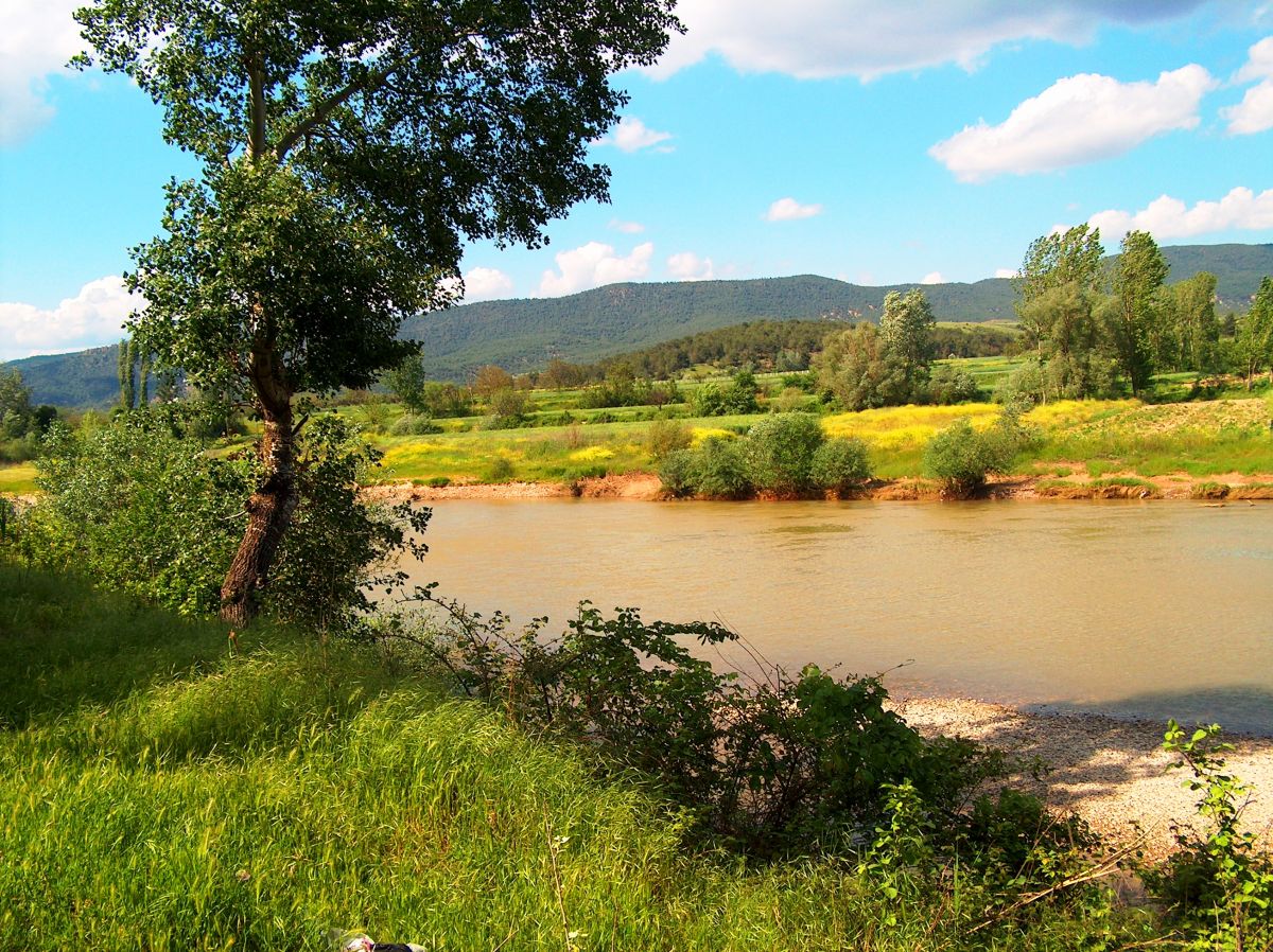 The Sakarya River | Nomatto