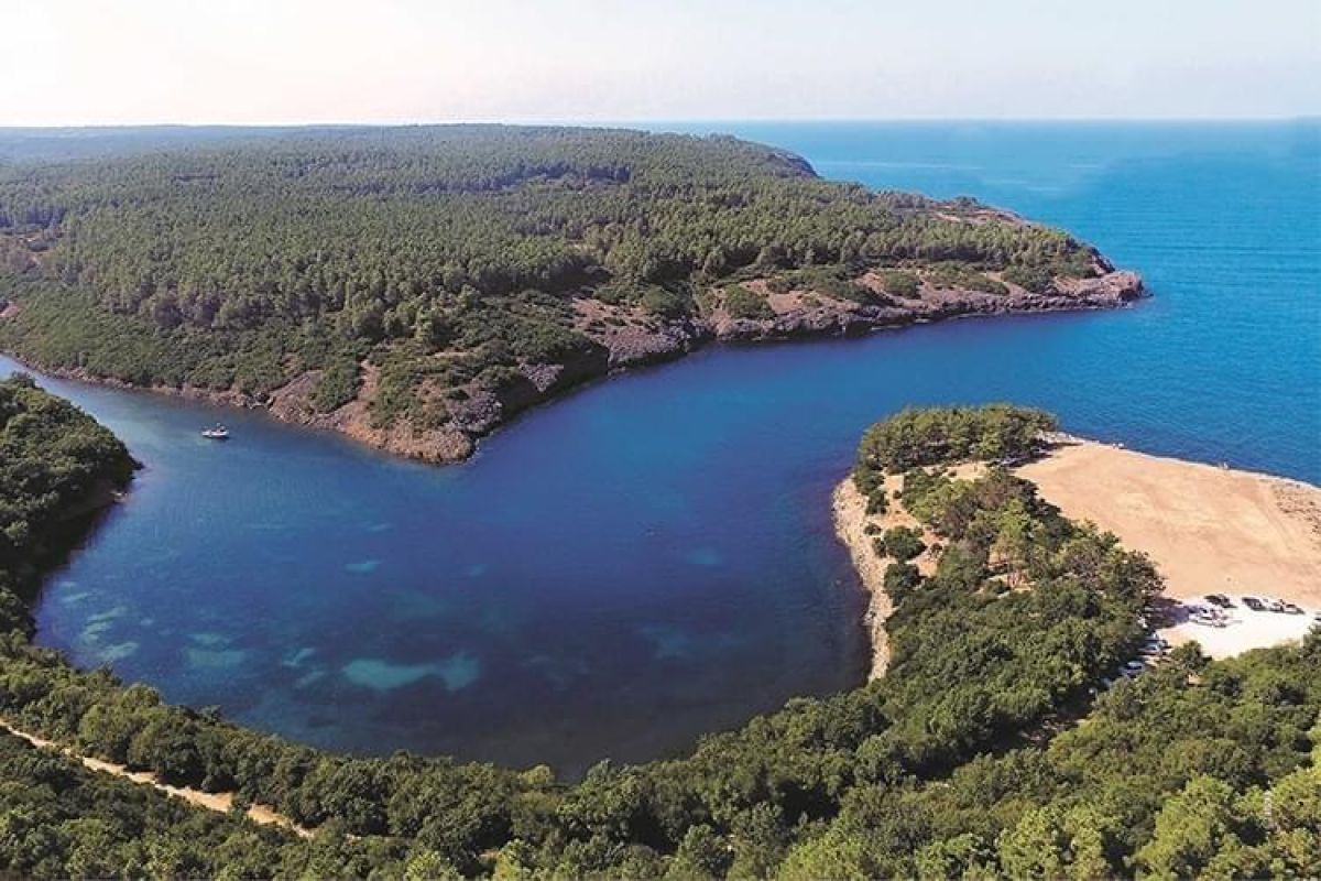 Hamsilos Koyu | Nomatto
