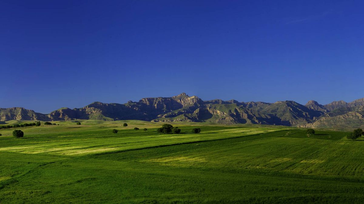 Cudi Dağı Gezisi | Nomatto