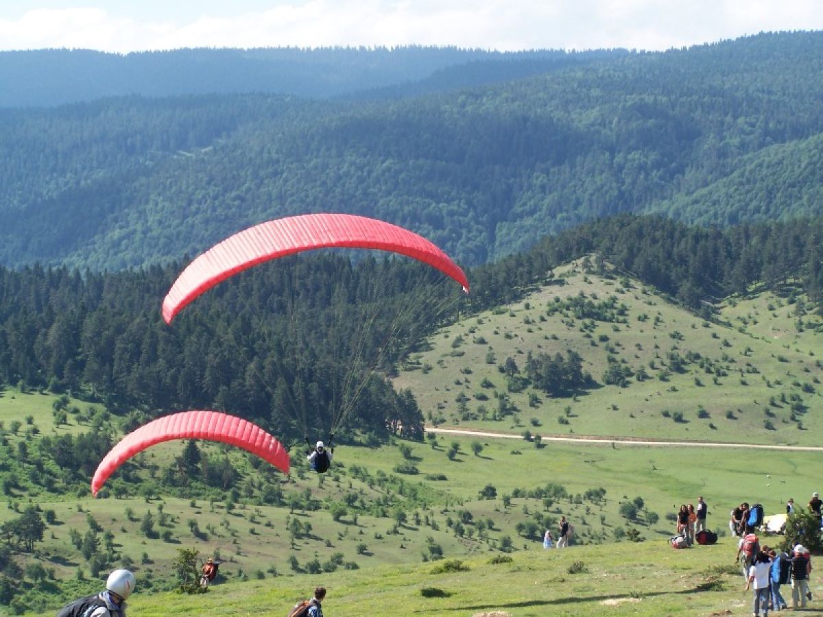 It 's A Flat Parachute . | Nomatto