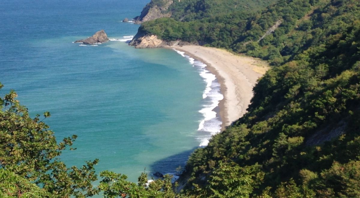 Do Not Swim. | Nomatto