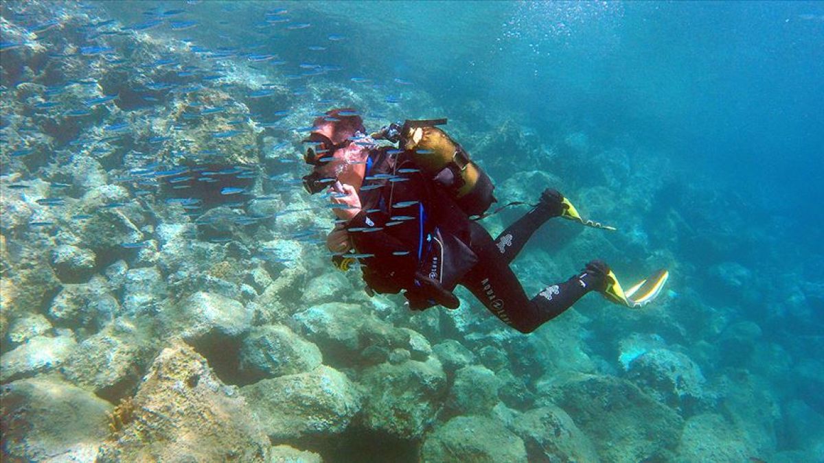 Brick Diving | Nomatto